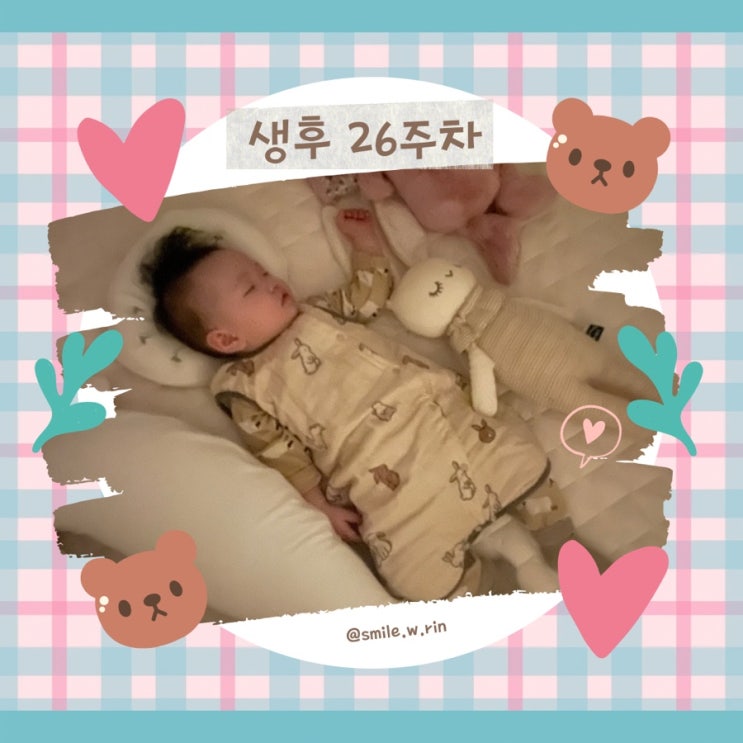 육아일기 6개월아기 생후 25주차 6개월 예방접종 독감 접종 가을산책 네이버 블로그