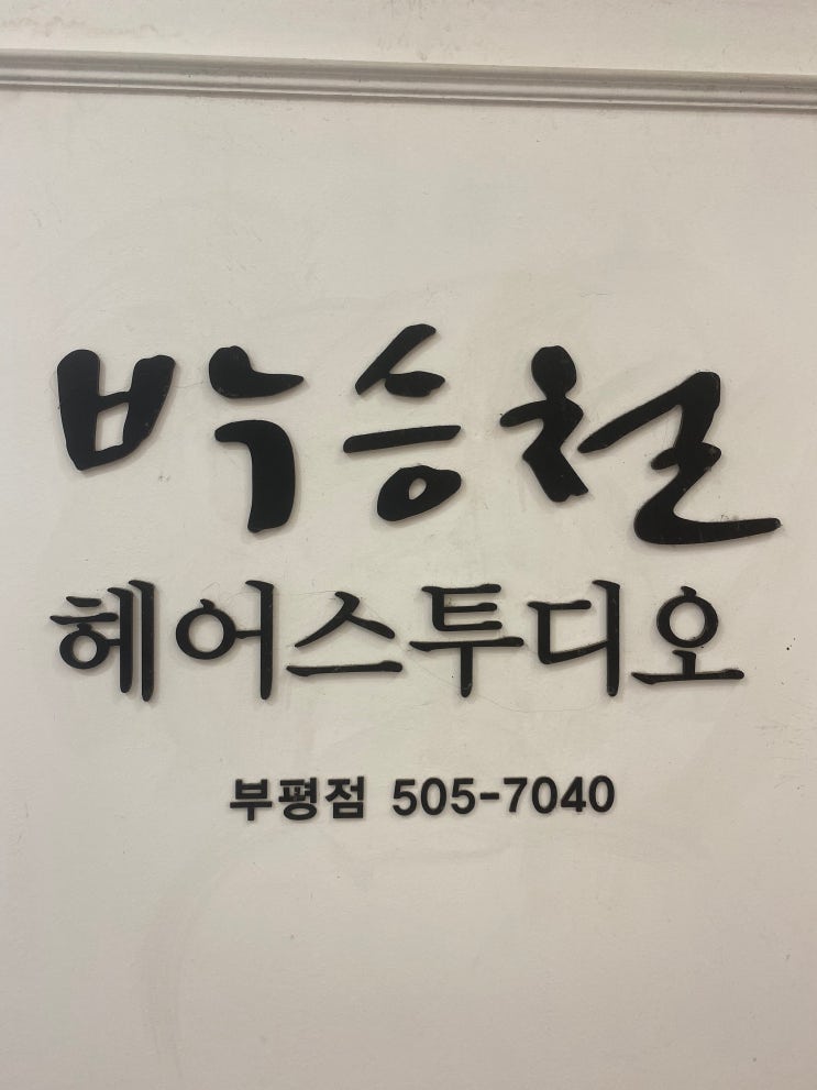 리얼리뷰 부평미용실 클리닉 잘하는 박승철헤어스튜디오 부평점 후기 네이버 블로그