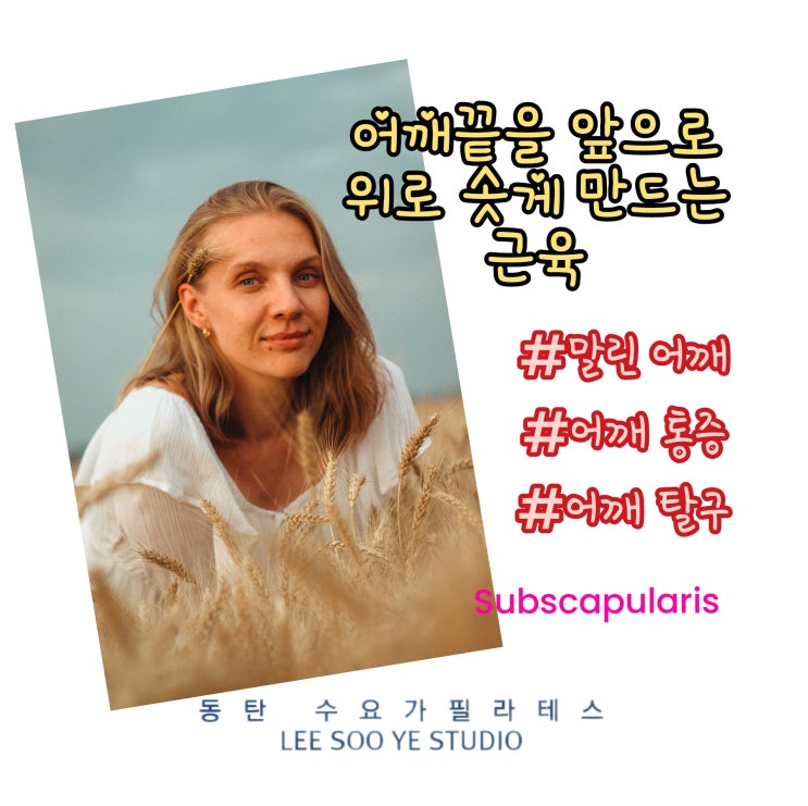 어깨 끝을 앞으로 위로 튀어나오게 만들어 라운드 숄더를 만드는 근육 견갑하근subscapularis 네이버 블로그