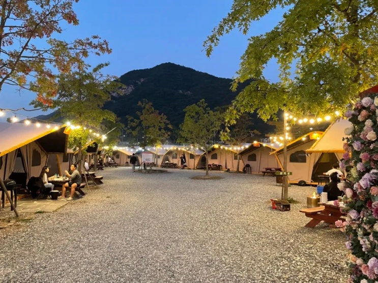 공주숙소공주글램핑 계룡산 글램핑장 파크오브드림 드림동 D8 솔직후기 네이버 블로그