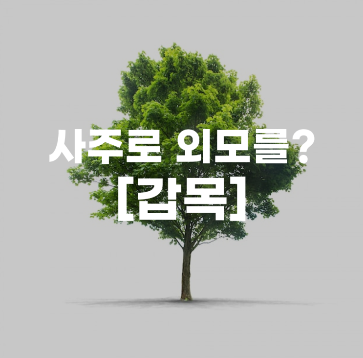 [사주공부] 갑목외모는? 오행별 외모 특징 : 네이버 블로그