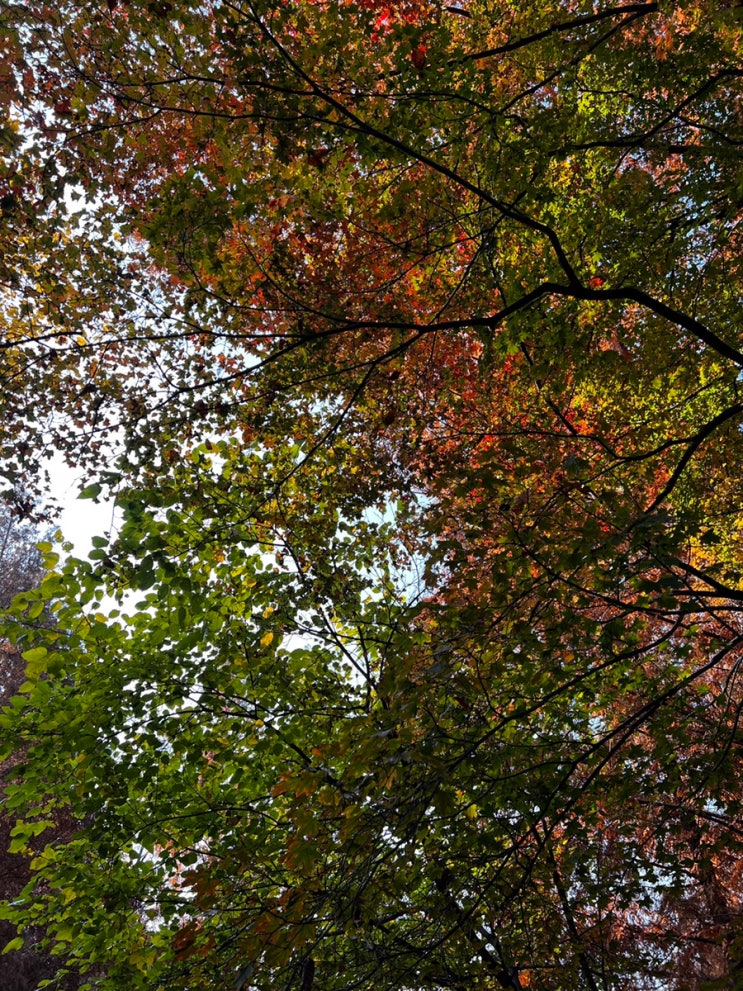 소비자 행동의 연구관점에 근거한 구매결정 세 가지를 언급하고 자신의 구매결정에 관한 견해를 제시하시오. : 네이버 블로그