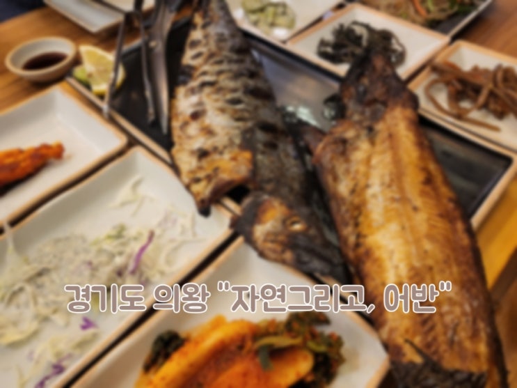 경기도 의왕시 자연그리고어반 깔끔한 반찬과 맛있는 생선구이and조림 백운호수 의왕타임빌라스 한식 맛집 네이버 블로그
