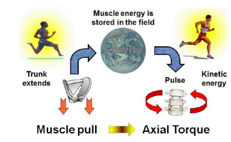 동탄 pt) Spinal Engine 한걸음 다가가기 2 : 네이버 블로그