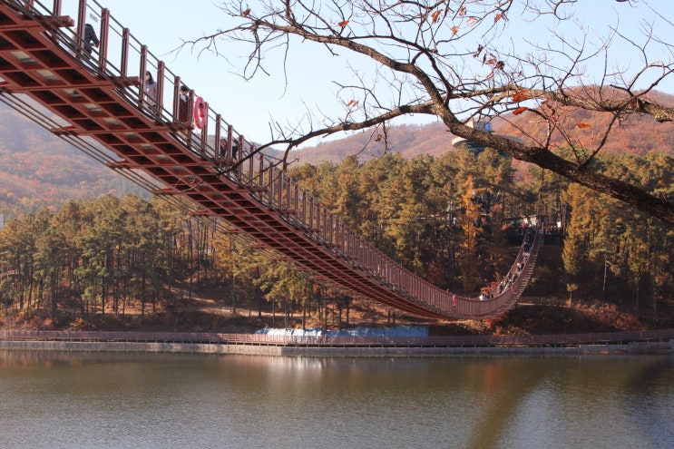 파주 가볼만한곳 마장호수 출렁다리 마장호수 둘레길 걷기 넓은여울 전망대 사설주차장 주차 조심 네이버 블로그