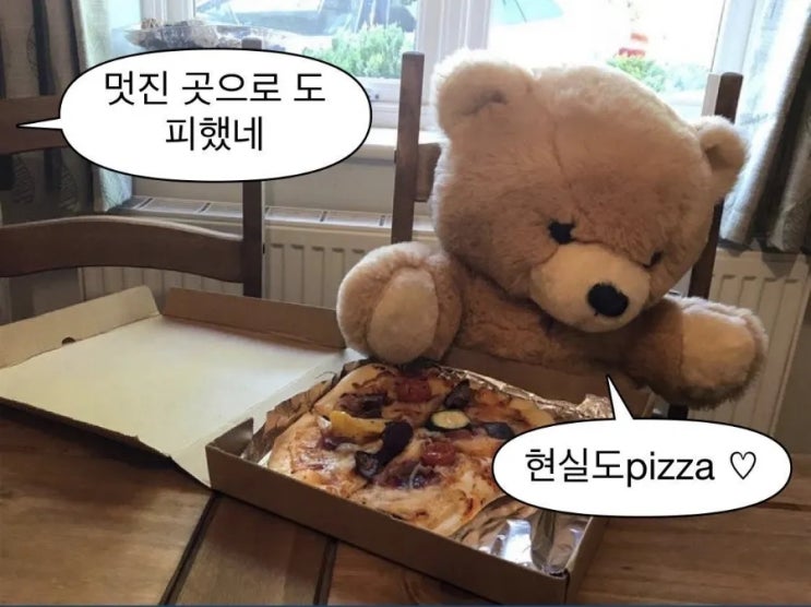 [짤 부자의 짤 털이] 7. 대학생 짤/분노 짤/우는 짤/ 웃긴 짤 180장 : 네이버 블로그