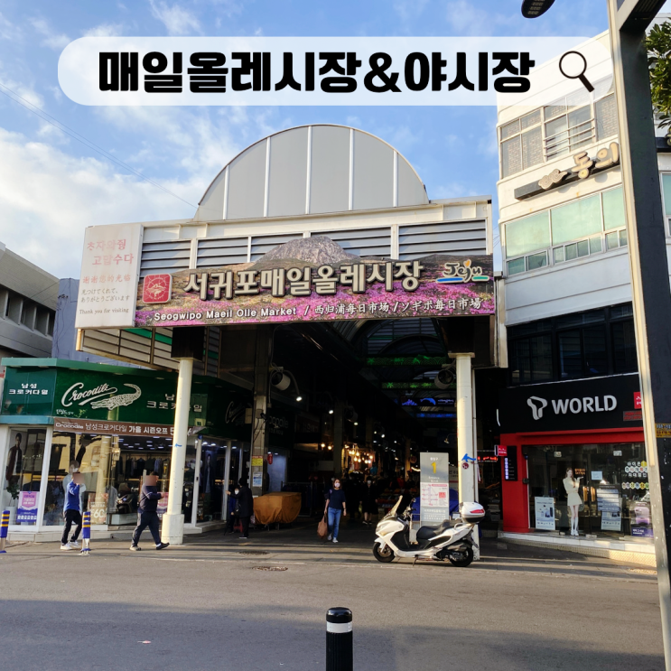 제주도 서귀포 매일 올레시장 먹거리 제주 중문 야시장 주차장 정보 네이버 블로그
