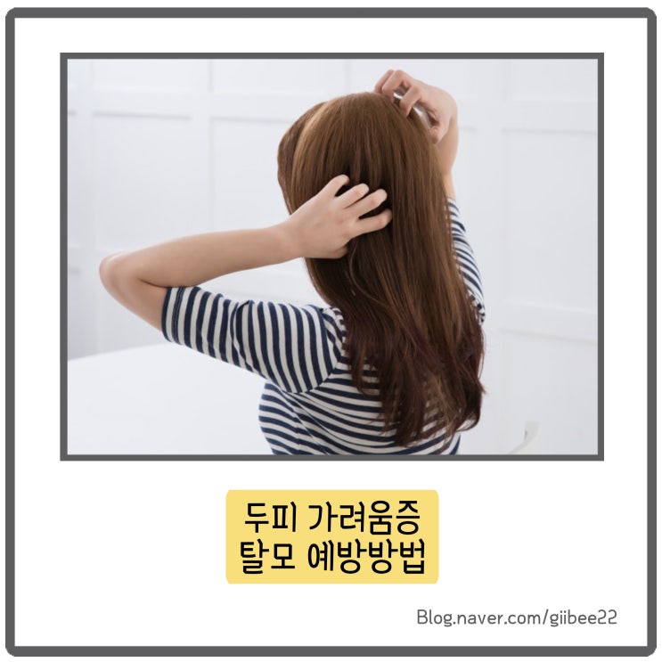 두피 가려움증 해결방법 과 원인 탈모 예방방법 네이버 블로그