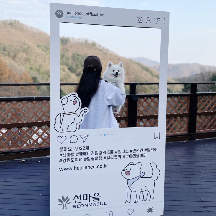 홍천 애견펜션 힐리언스 선마을 강아지와 함께 네이버 블로그