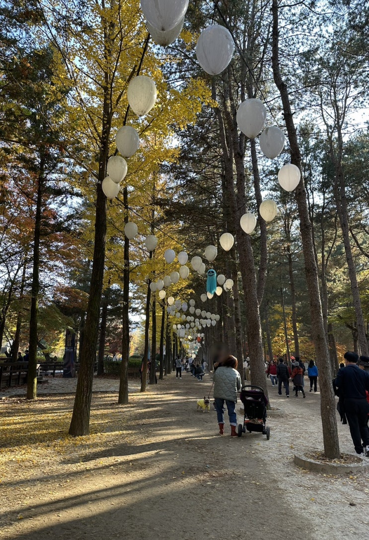가평 서울 근교 당일치기 여행 가평 가볼만한곳 남이섬쁘띠프랑스and이탈리아마을브릿지짚라인 네이버 블로그