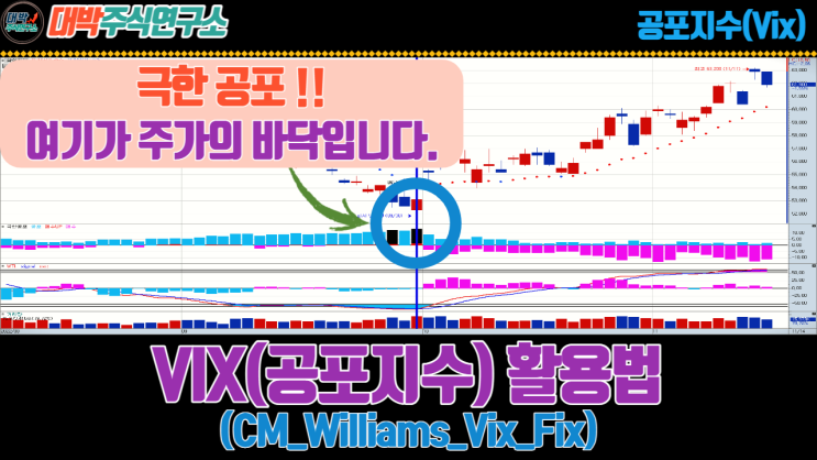 VIX(공포지수) 활용법/CM_Williams_Vix_Fix/트레이딩뷰 : 네이버 블로그