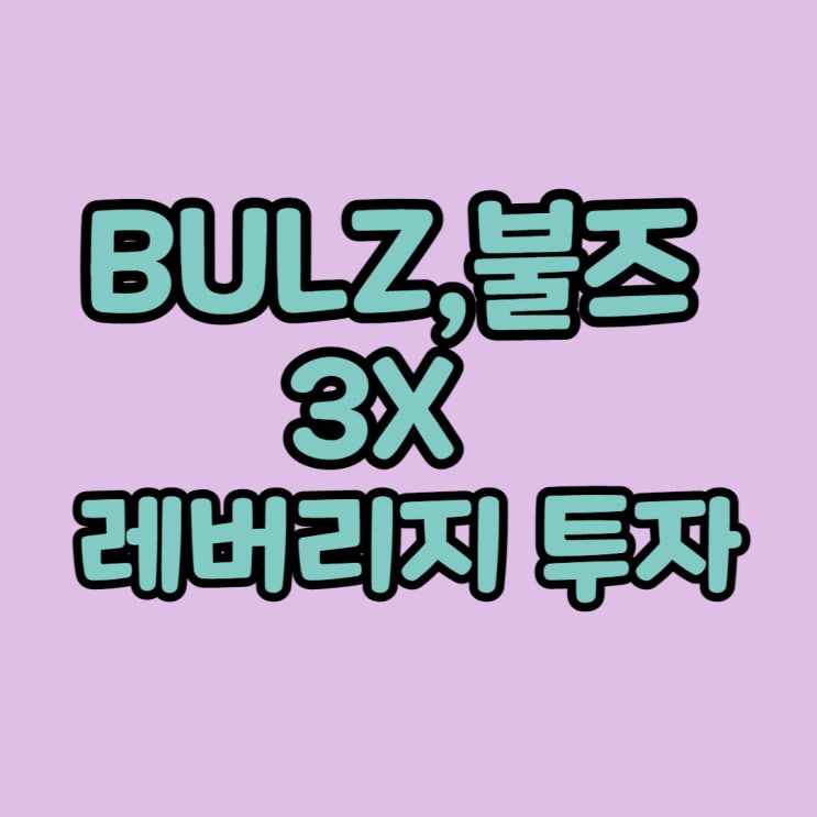 BULZ 불즈 ETN 3X 레버리지 투자 FANG Innovation : 네이버 블로그