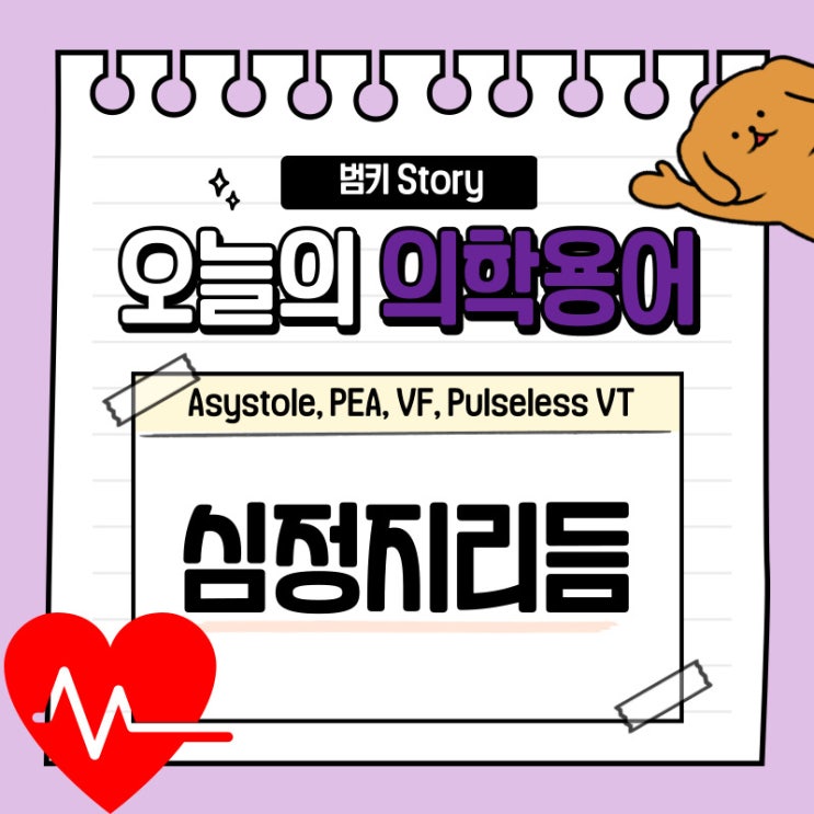심정지 리듬을 뜻하는 의학용어 Asystole, PEA, VF, Pulseless VT : 네이버 블로그