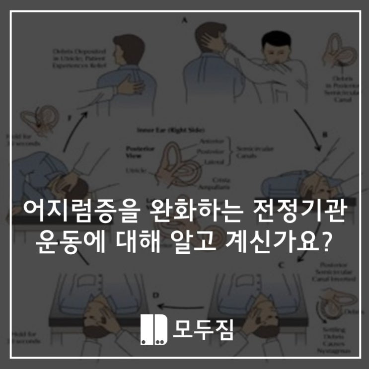 도화동 Pt 앨리웨이 Pt 목 통증 어지럼증 허리 통증 체형교정 밸런스 등 운동과 건강을 함께 얻고 싶다면 전정기관
