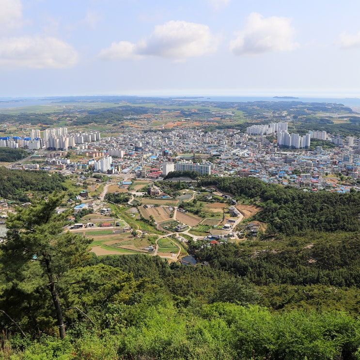 태안 백화산 숲속 공중 산책로 따라 문화재 탐방 코스 여행 백화산 트리 워크 태을암 흥주사 상옥리 가영현 가옥