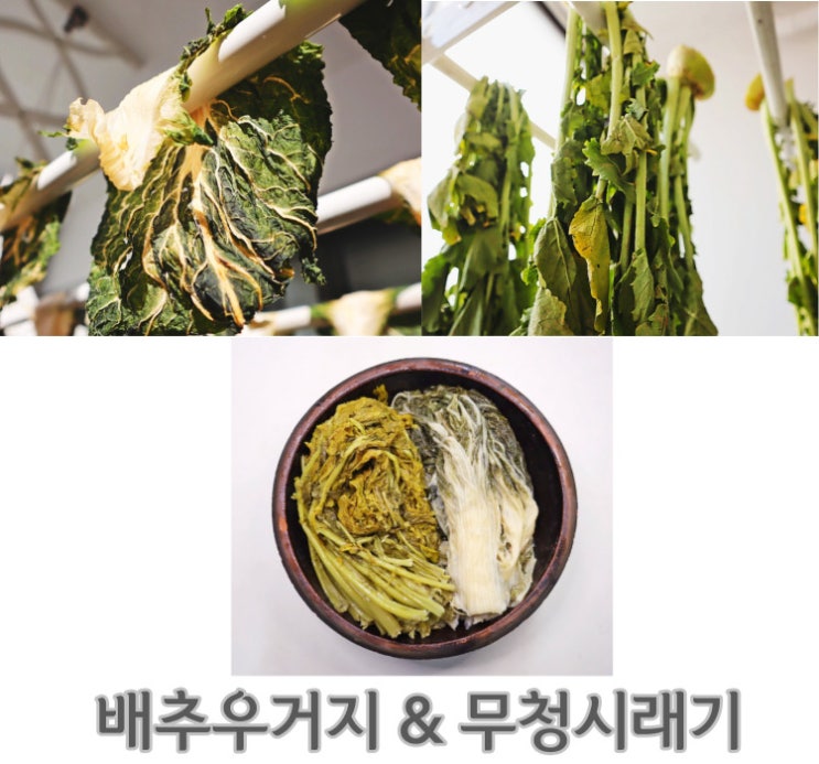 무청 시래기 And 배추 우거지 말리기 부터 삶는법 보관법 까지 네이버 블로그