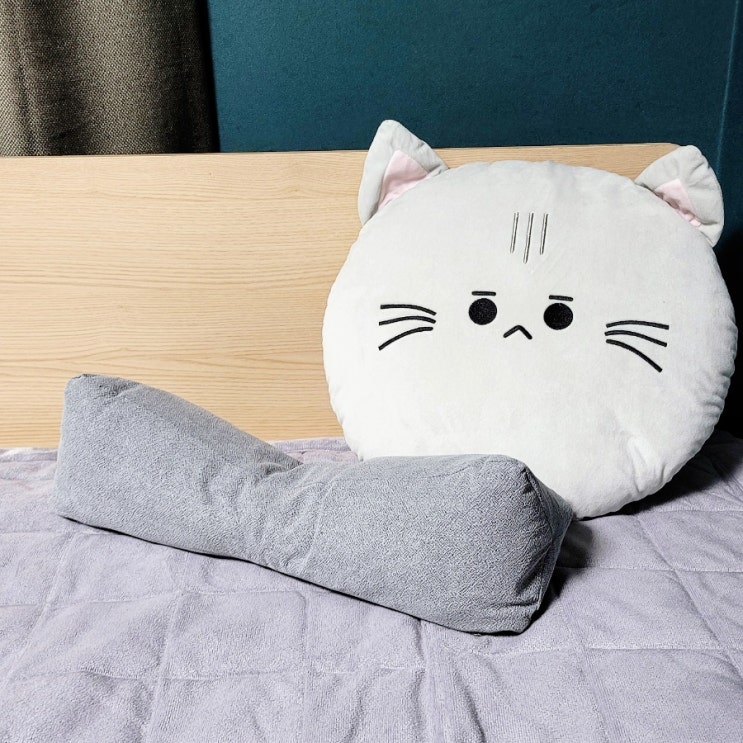 경추목베개로 추천하는 슬리핑 누아베개 목디스크 거북목에 제격이야 네이버 블로그