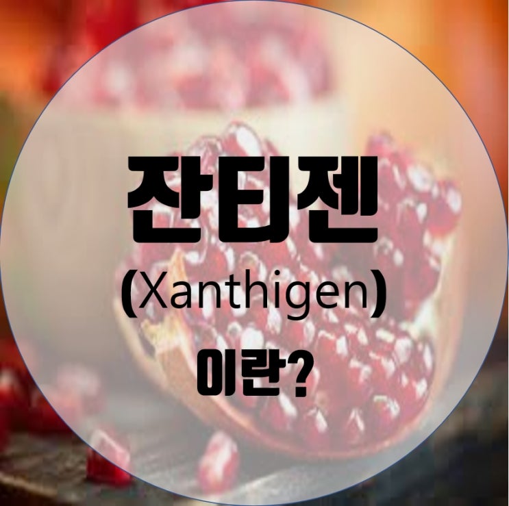 잔티젠(Xanthigen) 다이어트 효과 그리고 부작용 복용법 복용시간 알아보고 가세요. : 네이버 블로그
