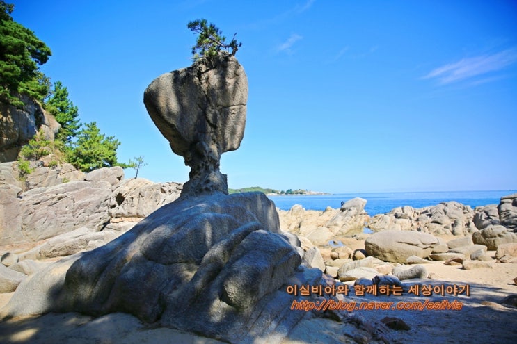 강원도 고성 가볼만한곳 동해안 여행 국가지질공원 암석 서낭바위도 강원도 볼거리 네이버 블로그