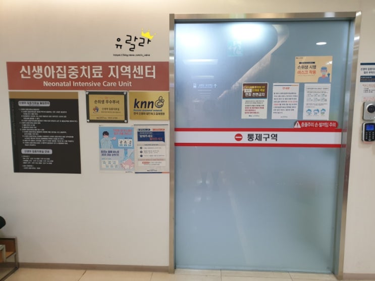 분당차여성병원 제왕절개 출산 3일차 신생아 집중치료실 And 중환자실 신생아 산소포화도 신생아 염증수치 항생제 치료