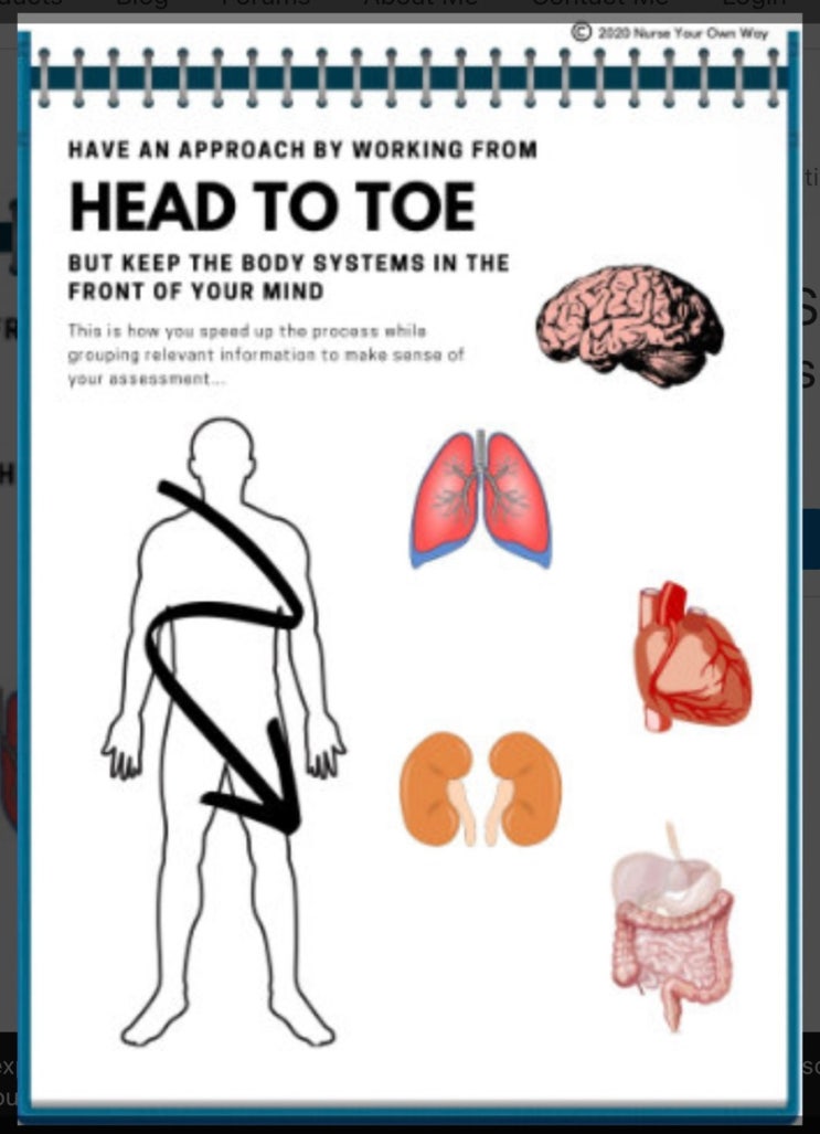 의학용어 CNS, CVS, RESP, GIT, RENAL, SKIN, ENDOCRINE (Head to toe ...