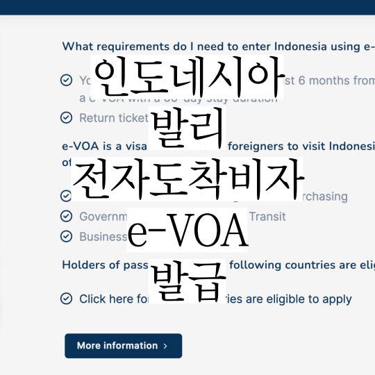 발리 전자도착비자 e-VOA 작성 방법, 가격, 이메일 안 올 때 확인 방법 : 네이버 블로그