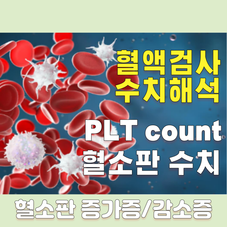 PLT Count 혈소판 수치 높으면/낮으면 ?(Thrombocyte) : 네이버 블로그