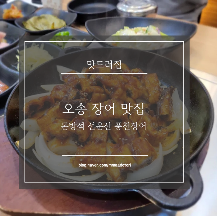 오송 점심추천 오송회식 오송 장어맛집 점심 장어정식 추천 돈방석 선운산 풍천장어 네이버 블로그