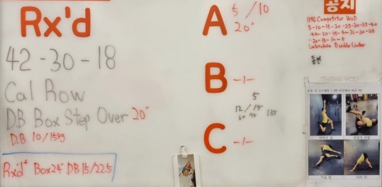 여자 크로스핏 크린이 16주차-3 Cal Row / Dumbbell Box Step Up : 네이버 블로그