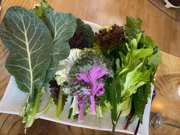 포항 쌈밥 맛있는 곳 직접키운 쌈채소 주는 웰빙 황토 우렁이쌈밥 네이버 블로그