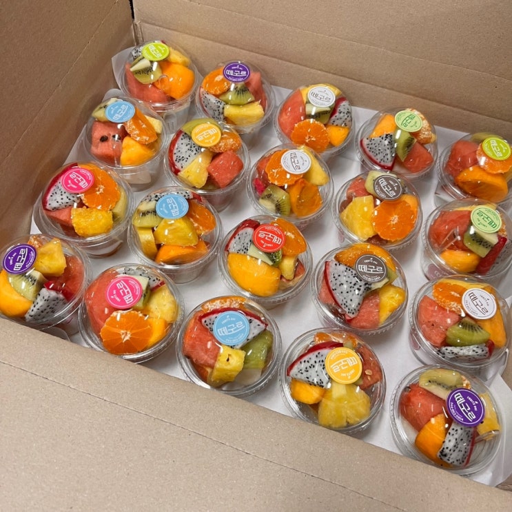떼구르세종점 세종정부청사세종고등학교세종중학교세종초등학교 단체간식프리미엄과일과일도시락런치박스샌드위치수제핫도그예산