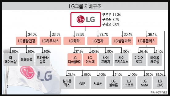 LG그룹분석(계열사,지배구조,가계도,시총,재무,매출구조,지분율 등) : 네이버 블로그
