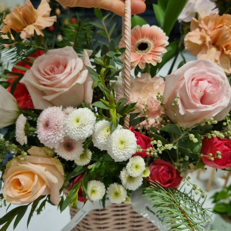 꽃길만 걸을 수 있어요 대전 꽃집 대전 꽃바구니 대전 꽃다발 '꽃길' : 네이버 블로그