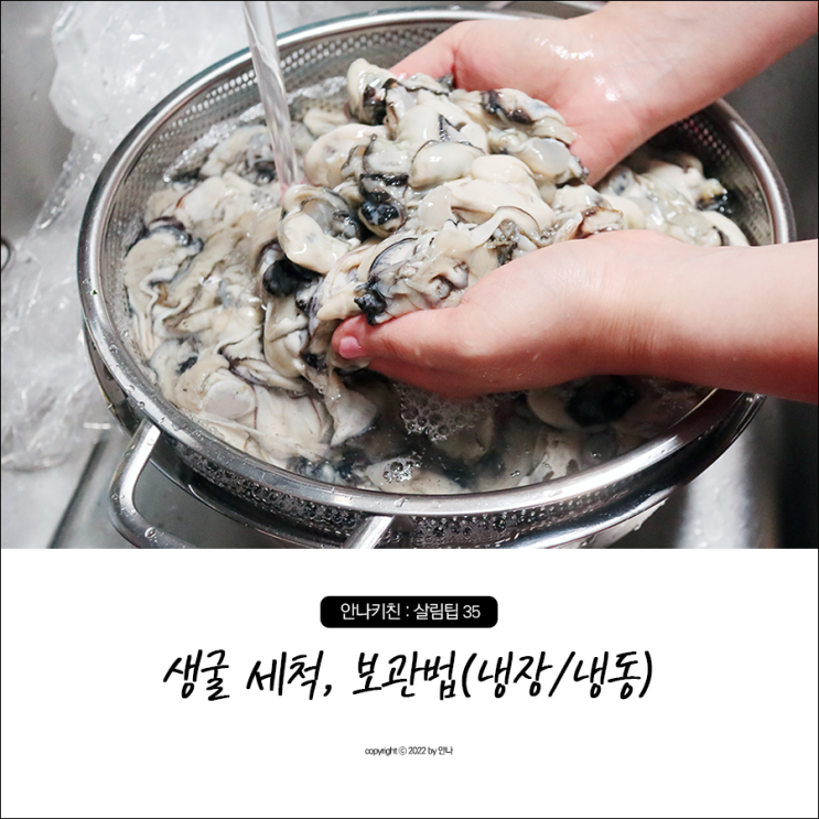 굴보관법 생굴 세척 통영굴 냉동보관 냉장 유통기한 네이버 블로그
