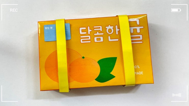 [무료도안] 🍊달콤한 귤 & 귤 상자🍊 만들기 : 네이버 블로그