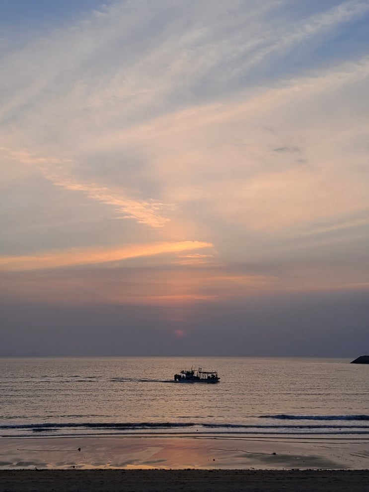 영종도 바닷가 횟집 왕산해수욕장 바로 앞 미애네회칼국수 네이버 블로그