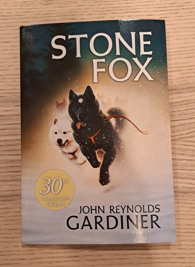 미국 초등학교 리딩시간 영어책 추천 /《THE RAFT》《STONE FOX》《WONDER》/ 미국 초등학생 3학년 영어원서 ...