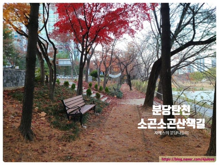 분당의 가을 만추晩秋의 탄천 And 정자동 그리고 탄천 가을의 분위기로 감상 분당 산책길 동영상 네이버 블로그