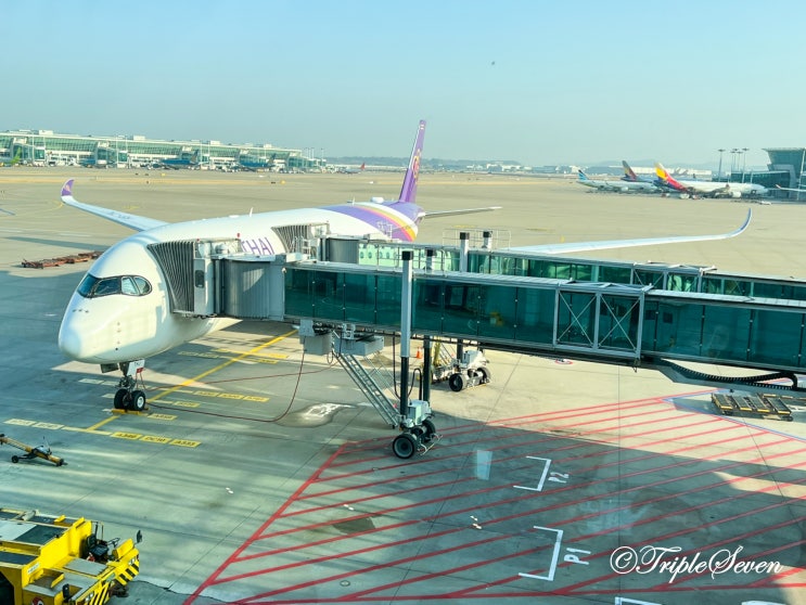 [탑승기] 타이항공 TG659 서울/인천 - 방콕/수완나폼 A350-900 탑승 후기! 타이항공 기내식, 태국 코로나 입국 규정 ...