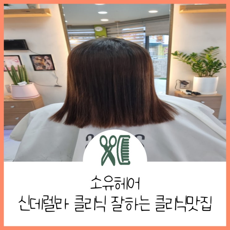 잦은염색에 망가져버린 머리카락 신데렐라클리닉으로 살리자 부산동래구미용실 소유헤어 네이버 블로그