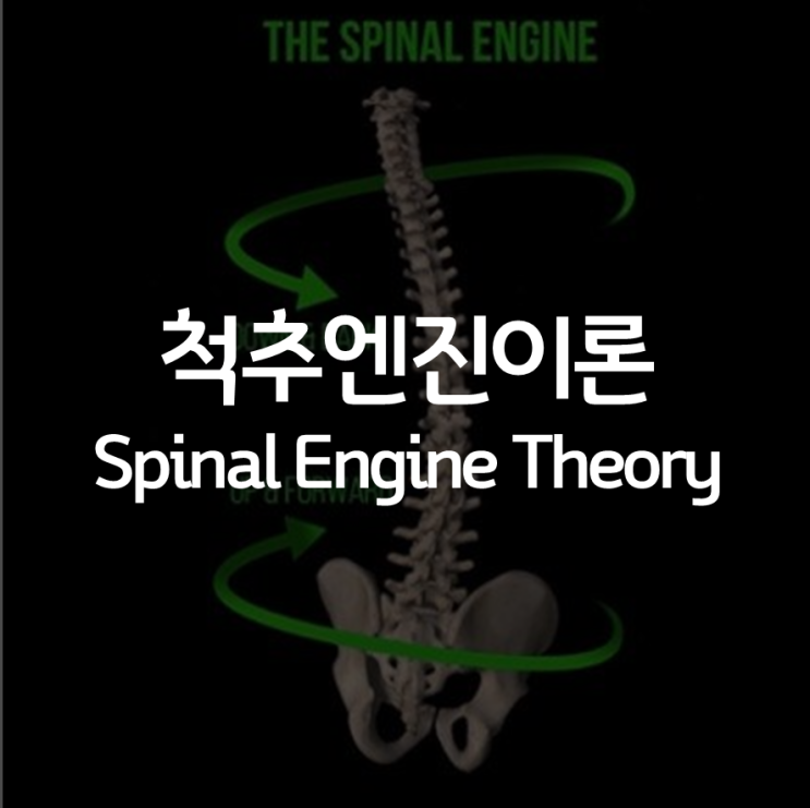 척추엔진이론(Spinal Engine Theory) : 네이버 블로그