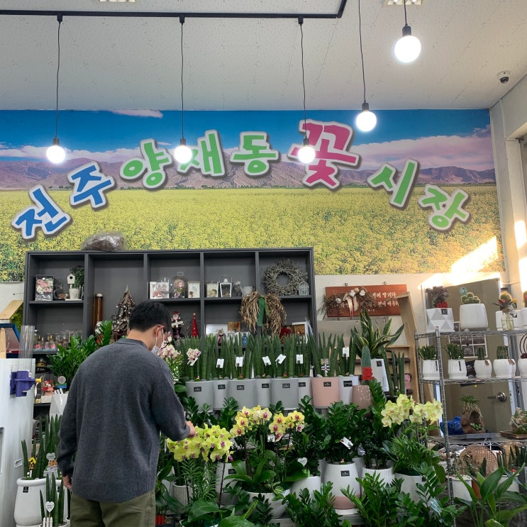 전주 꽃집 기분이 좋아지는 날 네이버 블로그