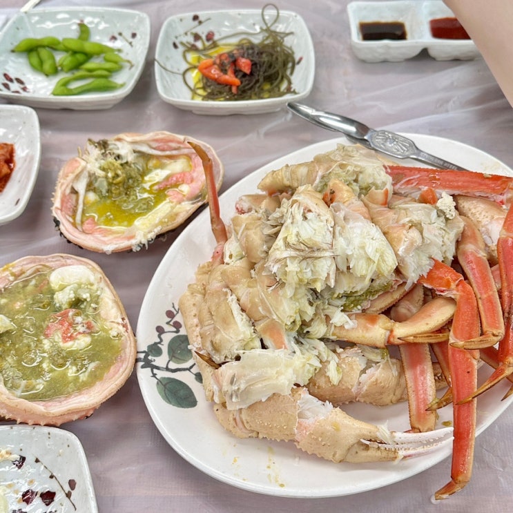울진 죽변스카이레일맛집 방파제7호횟집 대게먹고왔어요 : 네이버 블로그