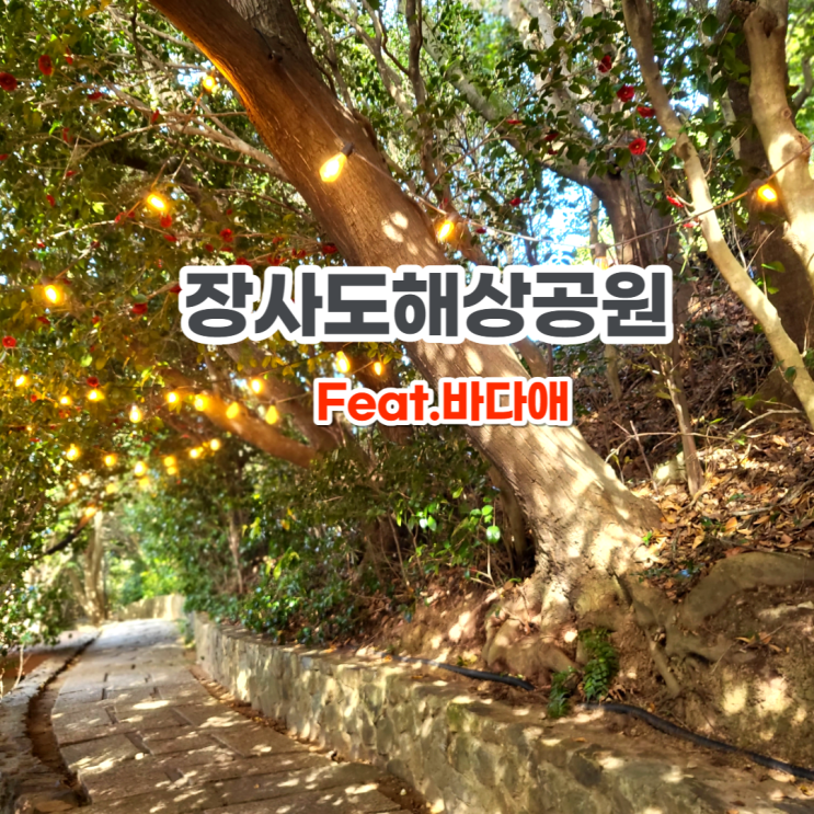 거제 아이랑 가볼만한곳 장사도 인생사진 찍고 바다애 돌미역기념품 사기 네이버 블로그