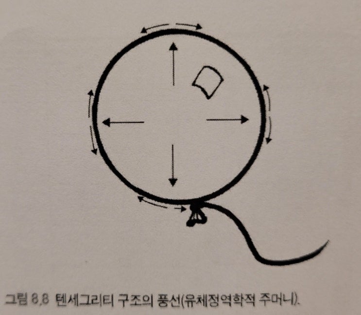 방배동pt 방배역pt 구조적 체요법 리뷰 구조와 기능2 네이버 블로그