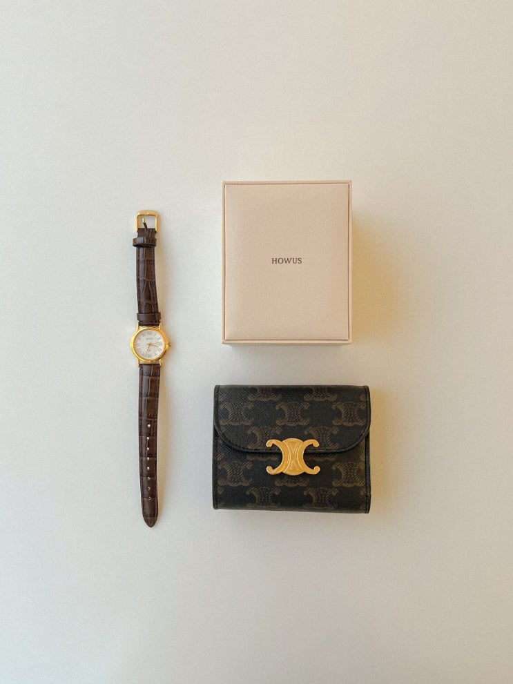 [리뷰] HOWUS | 호와스 CLASSIC WATCH (BROWN) : 네이버 블로그