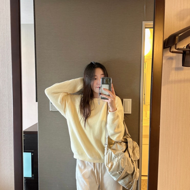 일본 도쿄여행 준비2 후기편 공항서류 비짓재팬웹 넥스nex 로밍 트레블월렛카드 네이버 블로그
