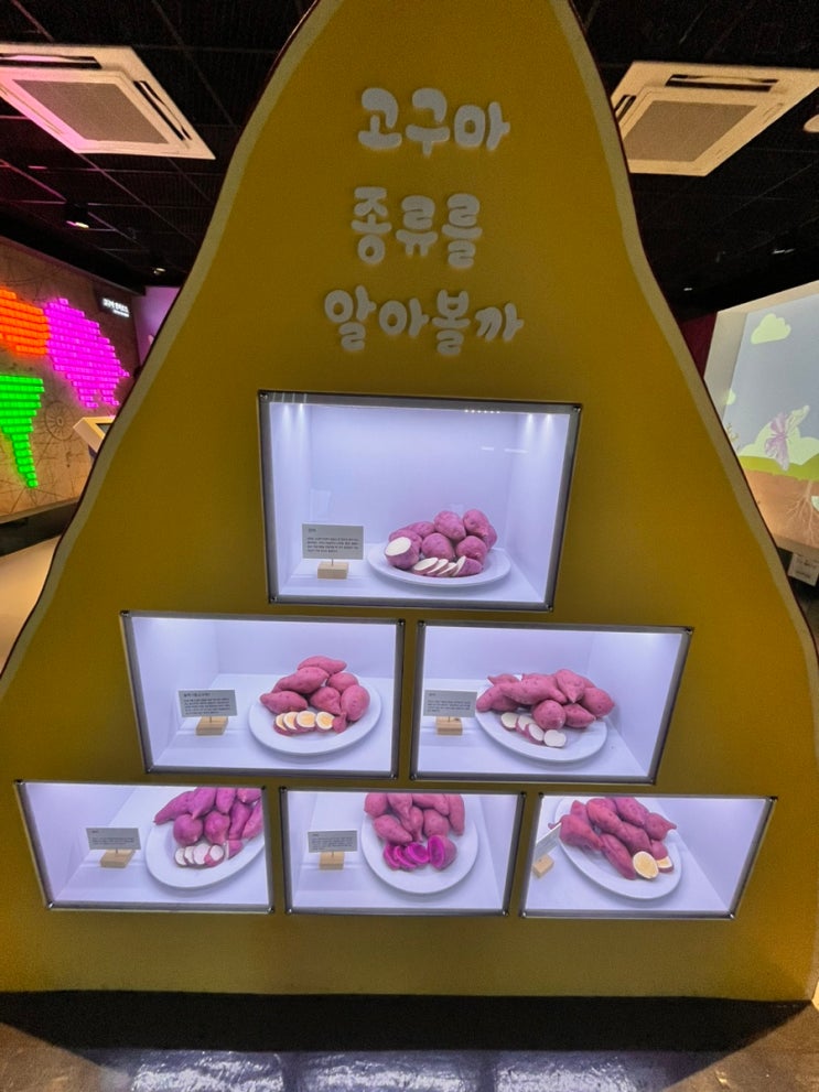 영도 조내기 고구마 역사기념관 아이와 방문하기 좋은 곳 네이버 블로그