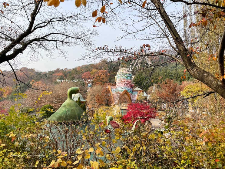 에버랜드 가기 전 꼭 보세요 자유이용권 최대할인 정보 주차할인 먹거리 물품보관함 위치 꿀팁 네이버 블로그
