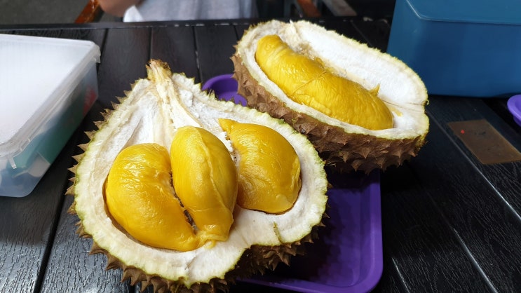 2022년 4/5월 싱가포르 : Ah Di Dempsey Durian (Wan Li Xiang) - 싱가포르에서 갓딴 최고의 ...